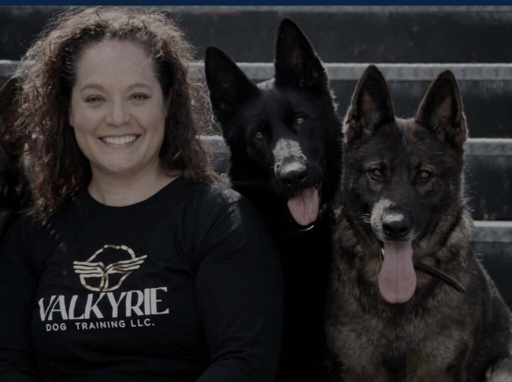 Valkyrie Dog Training and Services: Dogs as Partners, Teachers, Leaders ...